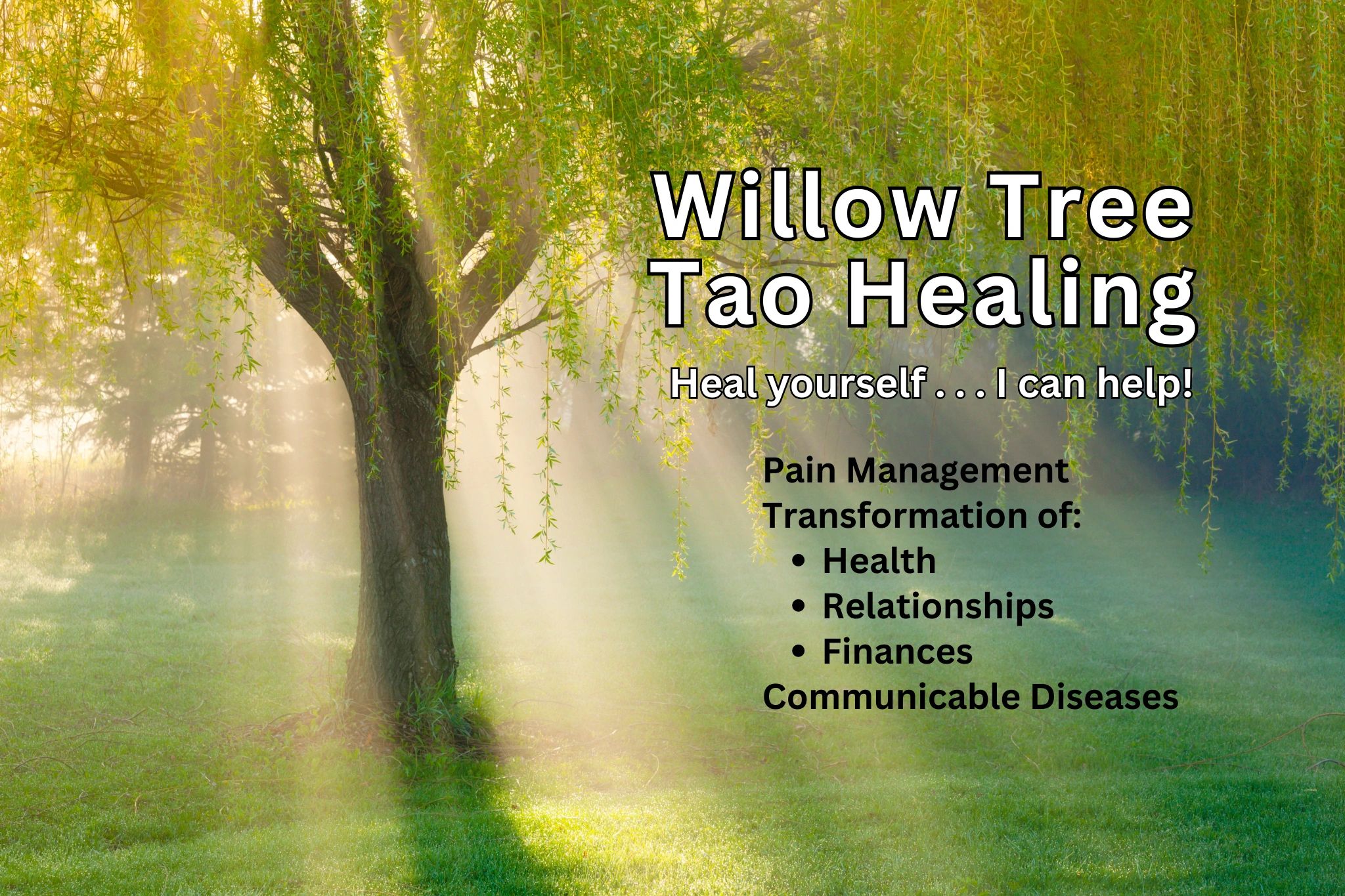 Willow Tree Tao Healing - Home