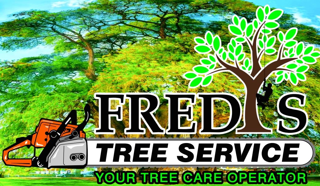 Fredy's Tree Service - Fredys Tree Service, Tree Service Near Me