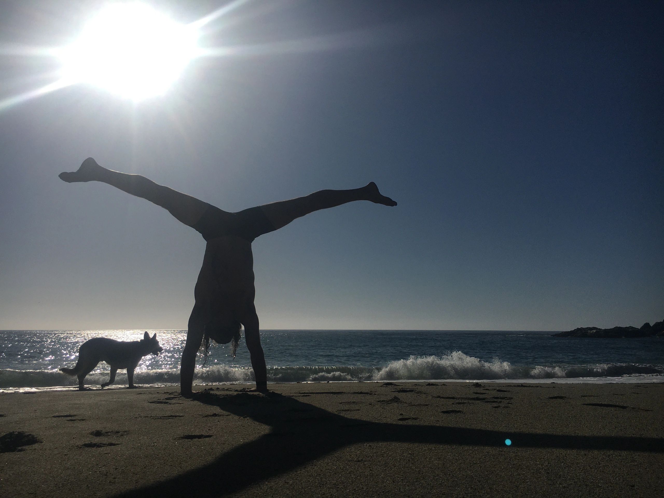 David Stickler - Fitness Classes and Yoga, Private and Group Classes