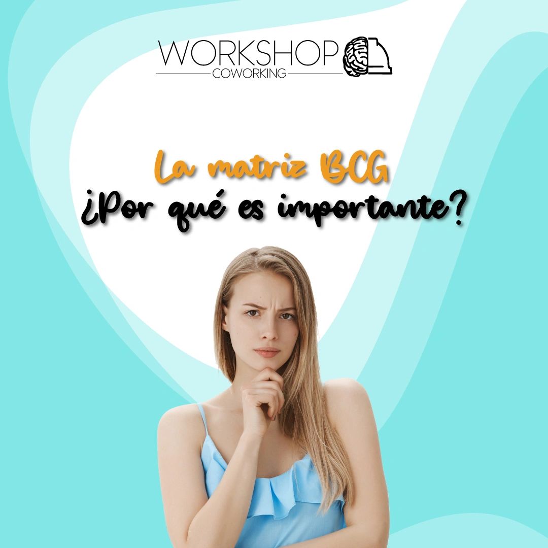 La matriz BCG ¿Por qué es importante?