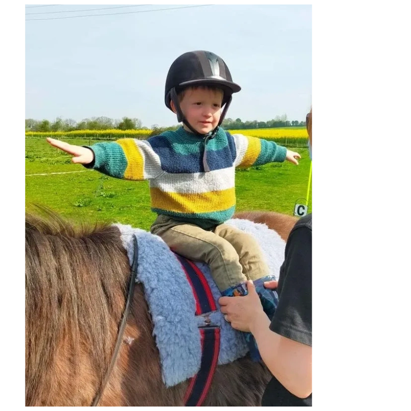 Hippotherapy | physiotherapy