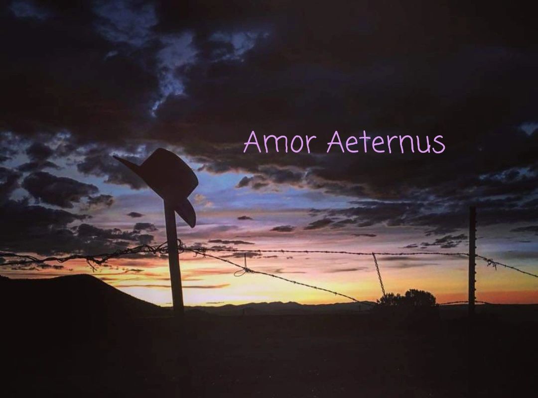 Amor Aeternus