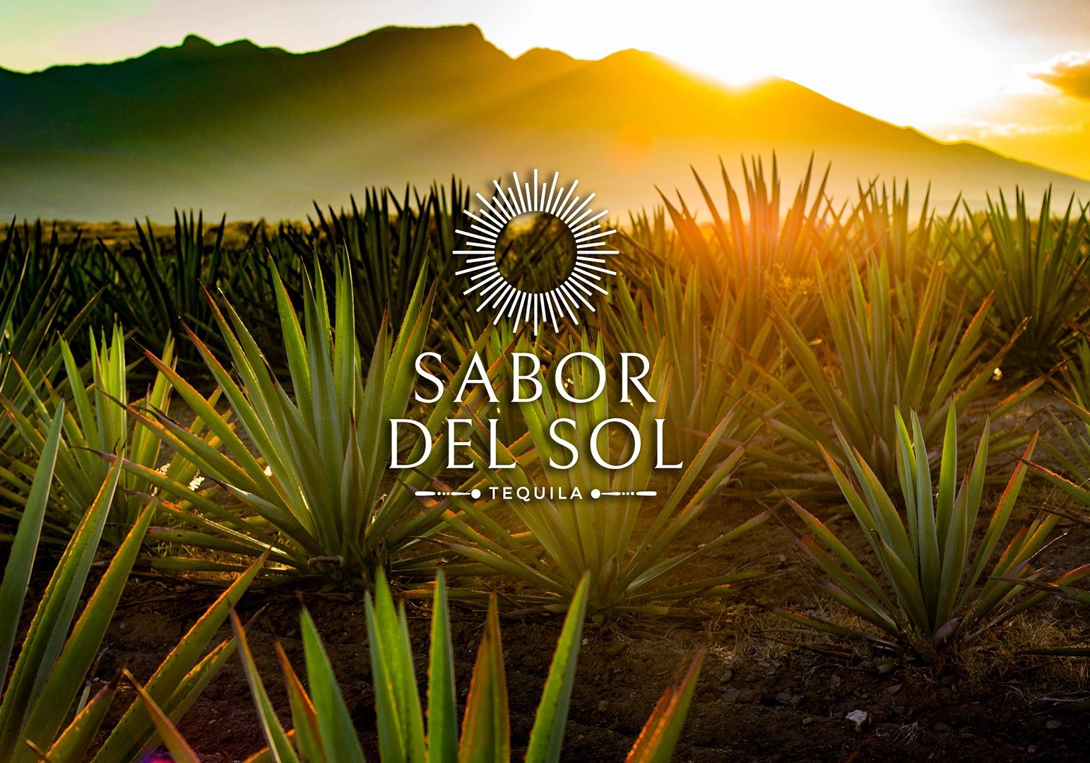 Sabor Del Sol