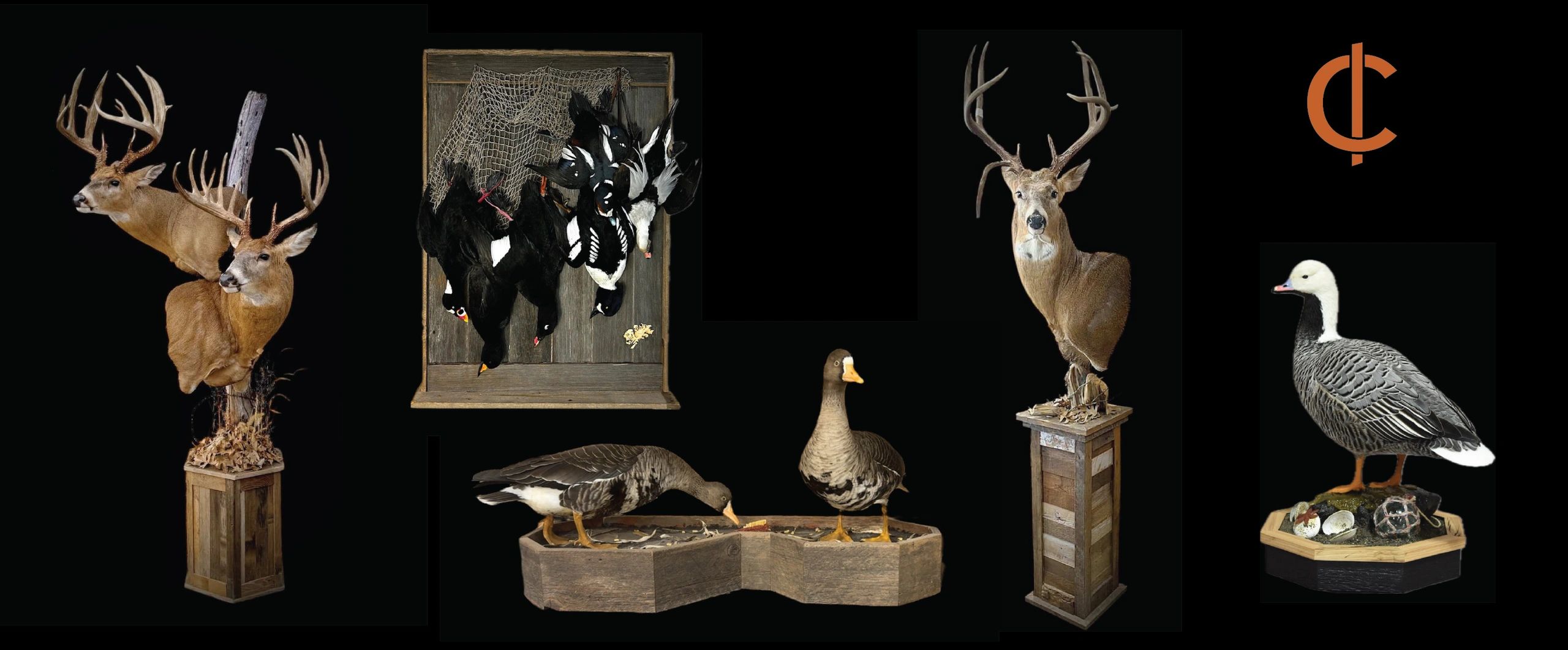 Barnwood Taxidermy Pedestals | Rustic Custom Bases for Mounts