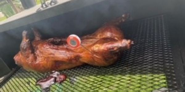 Indian Head Campground in Bloomsburg, Pennsylvania