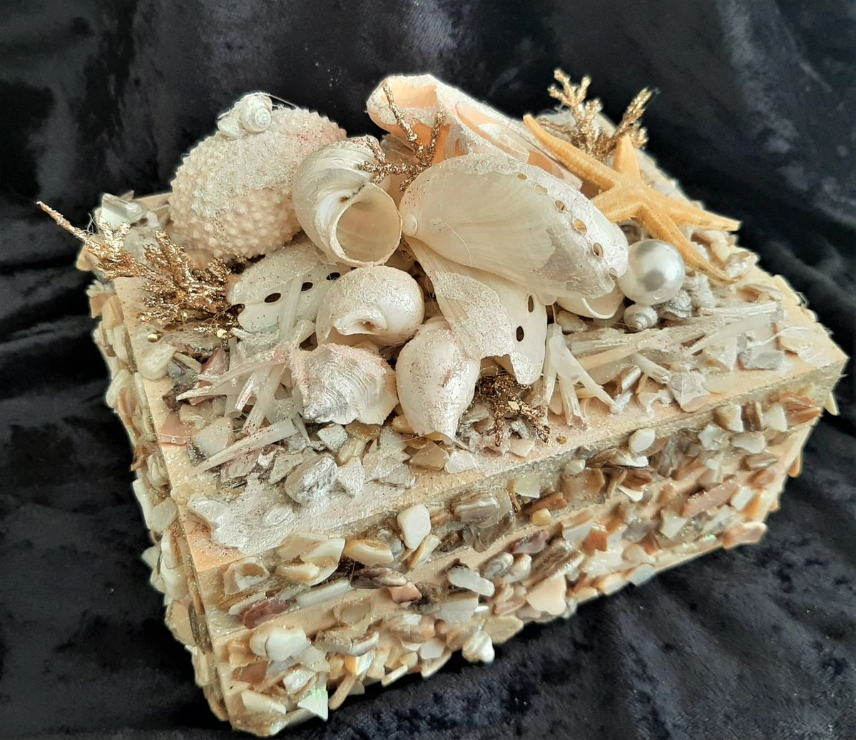 Abalone and Mollusk shell Jewelry Box