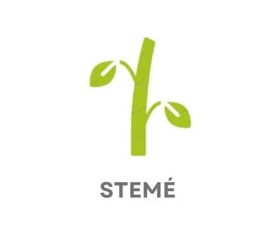 STEME Education
