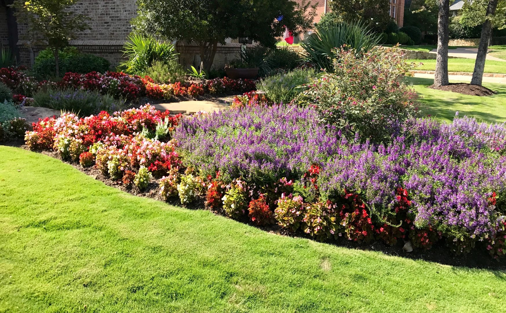 Safari Landscape - Landscape, Landscape Design, Lawn Care | SAFARI ...