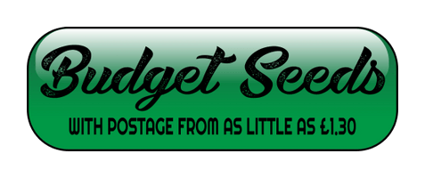 Budget Seeds - Seeds, Cheap, Seeds, Vegetables, Online Store
