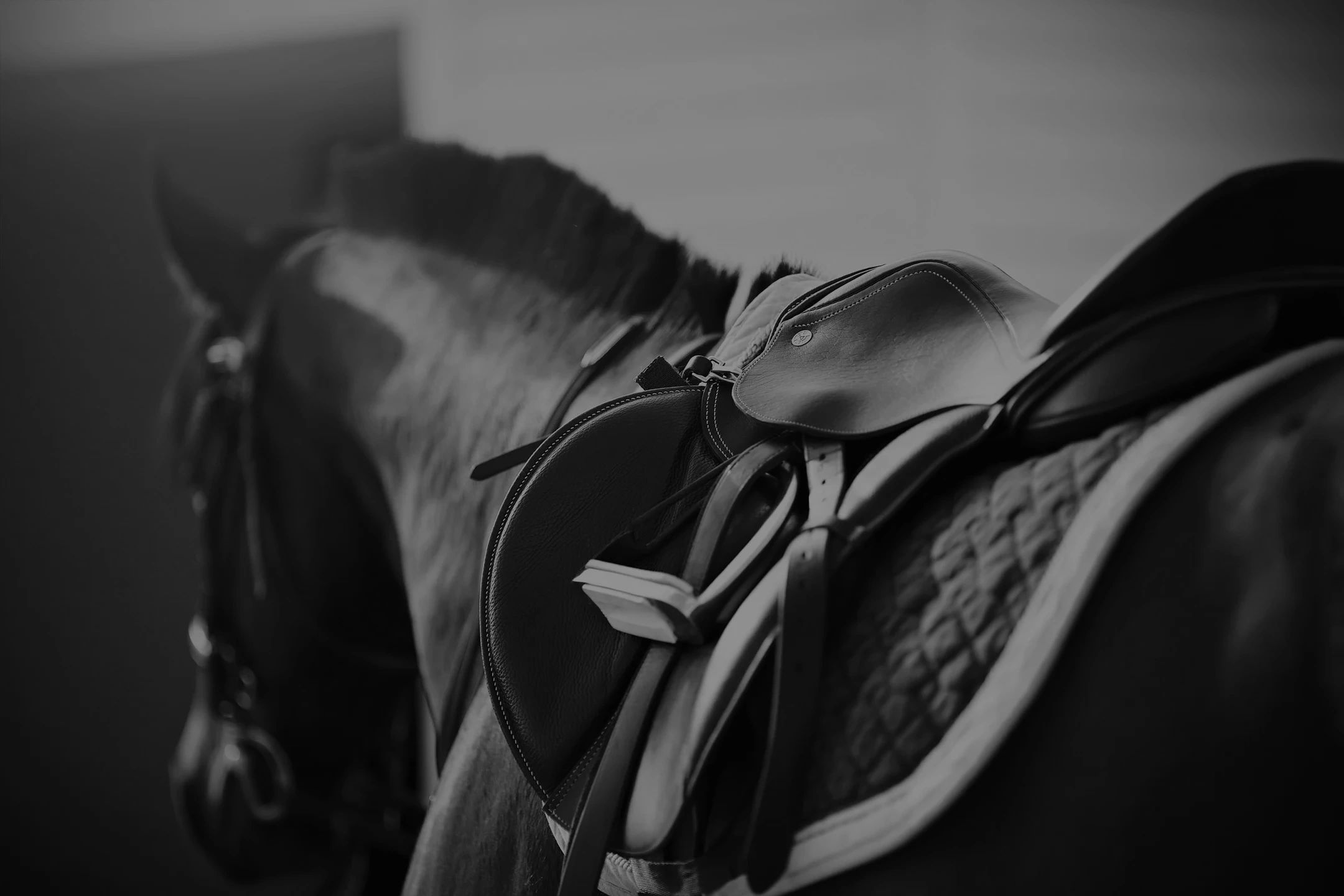 Cheval Equestrian Inc.