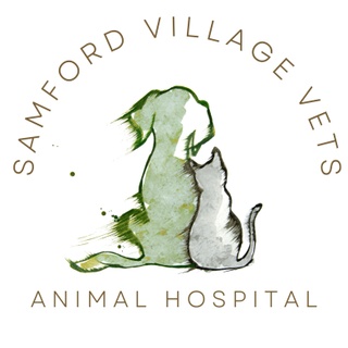 Samford Village Vets Animal Hospital - Veterinary Care with Integrity ...