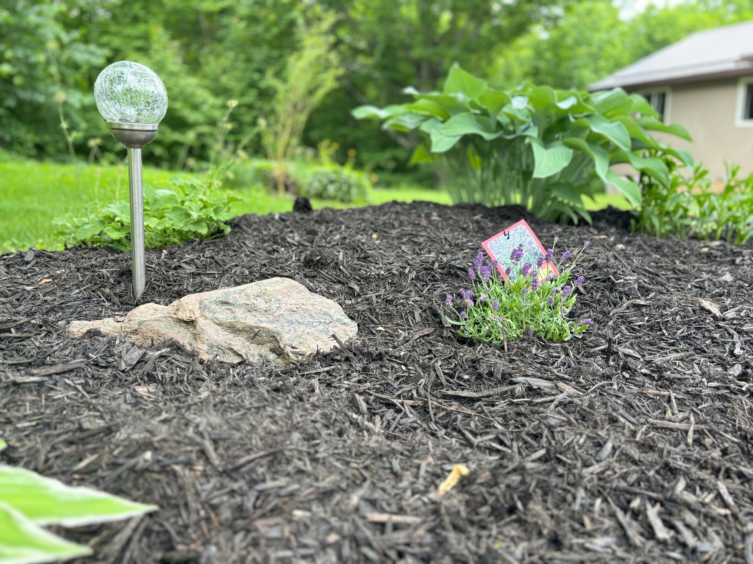 Professional Landscaping Services for Your Home