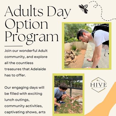 ADULT PROGRAMS | Hive Support Services