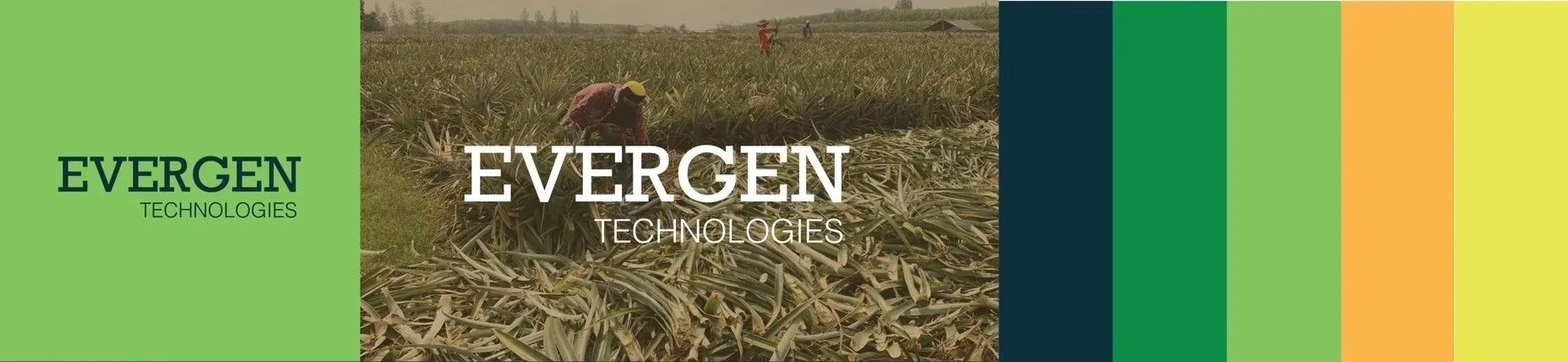 Home [evergentech.co]