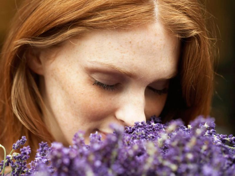 Carol Muro's Instagram, Twitter & Facebook on IDCrawl