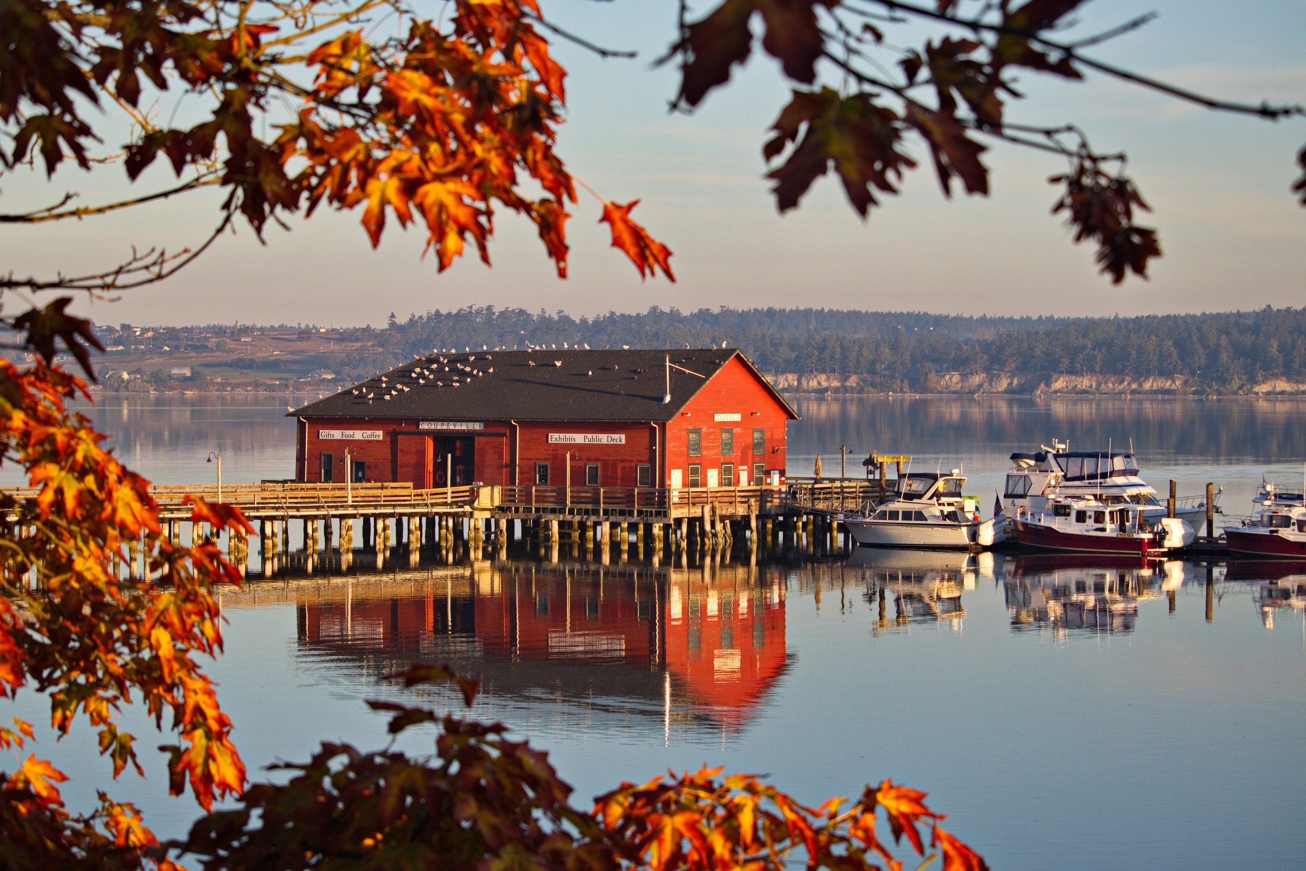 Whidbey Island Light - Landscape and Nature Photography from Whidbey ...