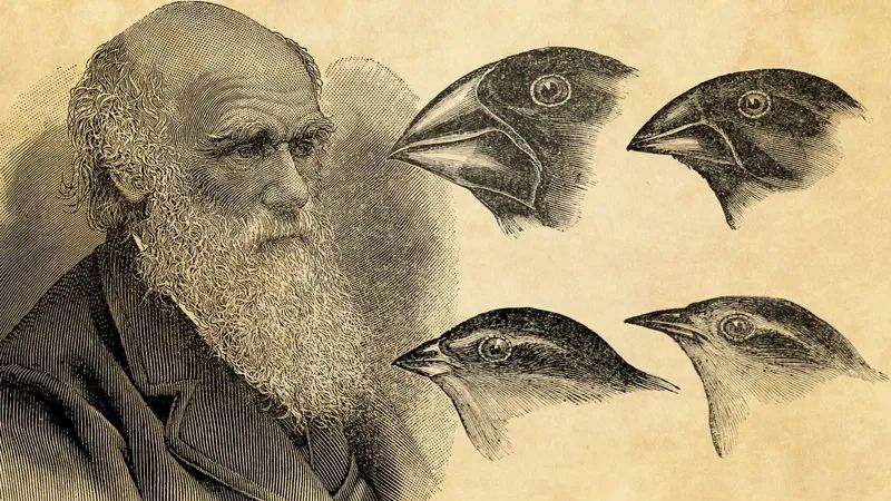 DARWIN WAS NOT AN ATHEIST!