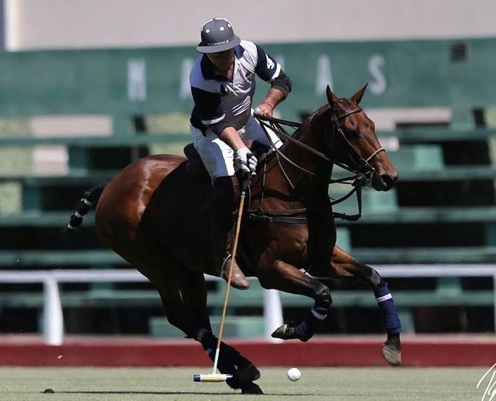 Learn to Play Polo With Professional Polo Players - Polo School and ...