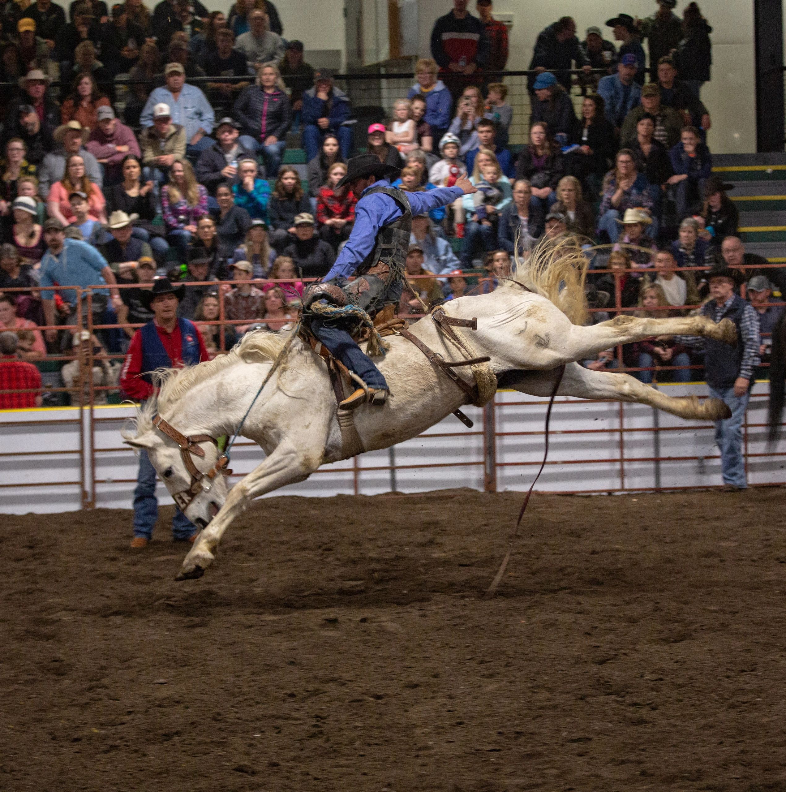 Kananaskis Pro Rodeo