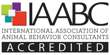 Certifications - Diana Simonsen Dog Training