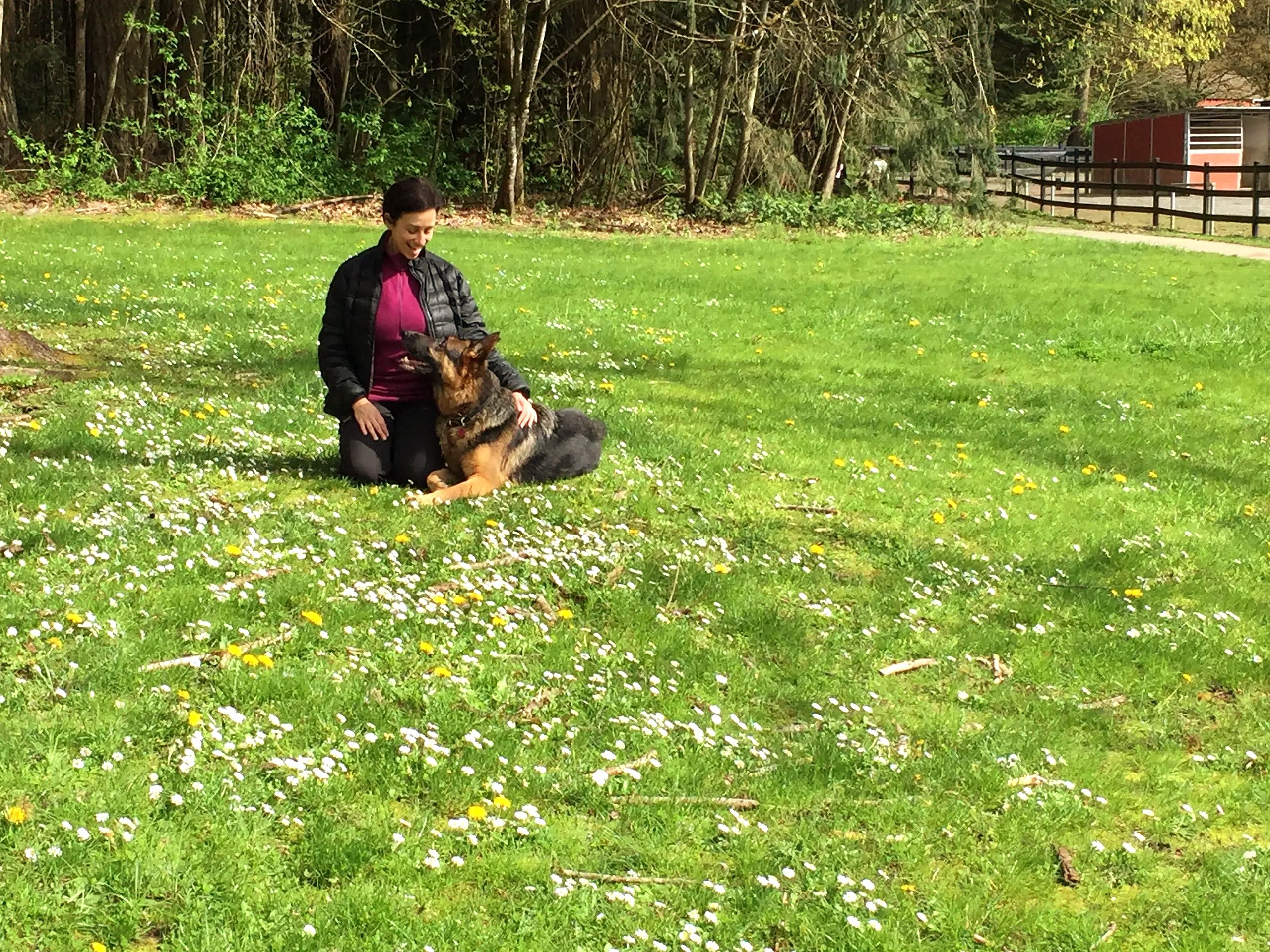 Shaping Smart Workshop | Diana Simonsen Dog Training