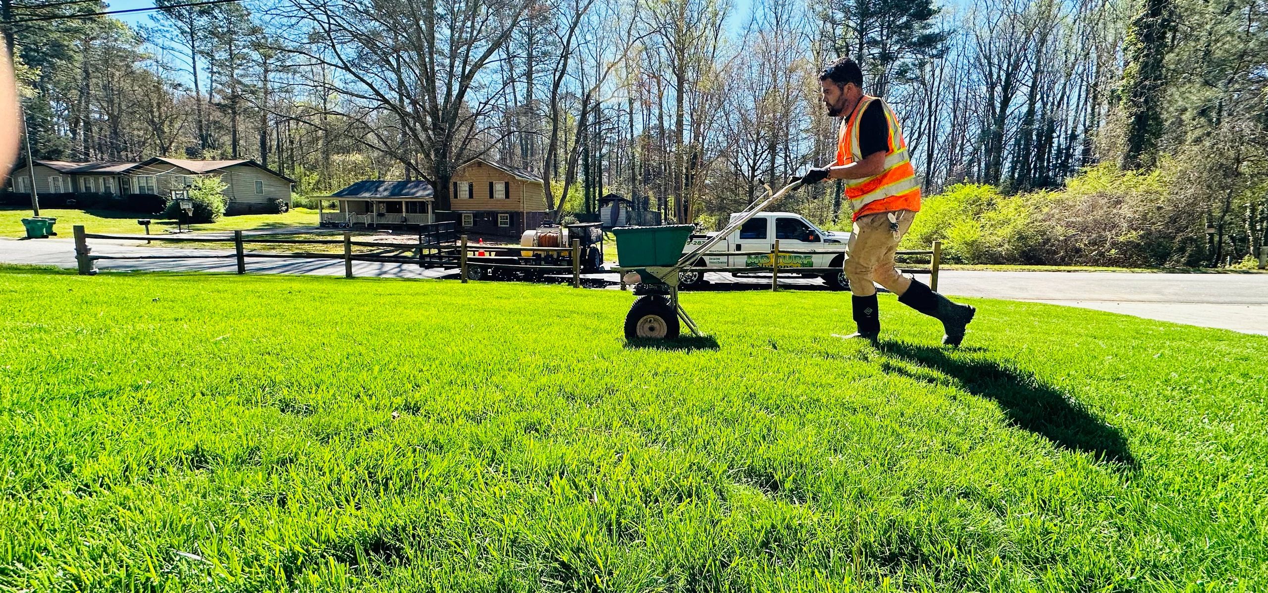 Expert Lawn Care Services for a Green Lawn