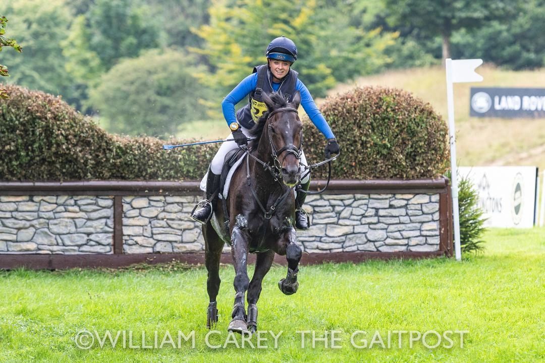 Experienced Event Rider for Equestrian Eventing