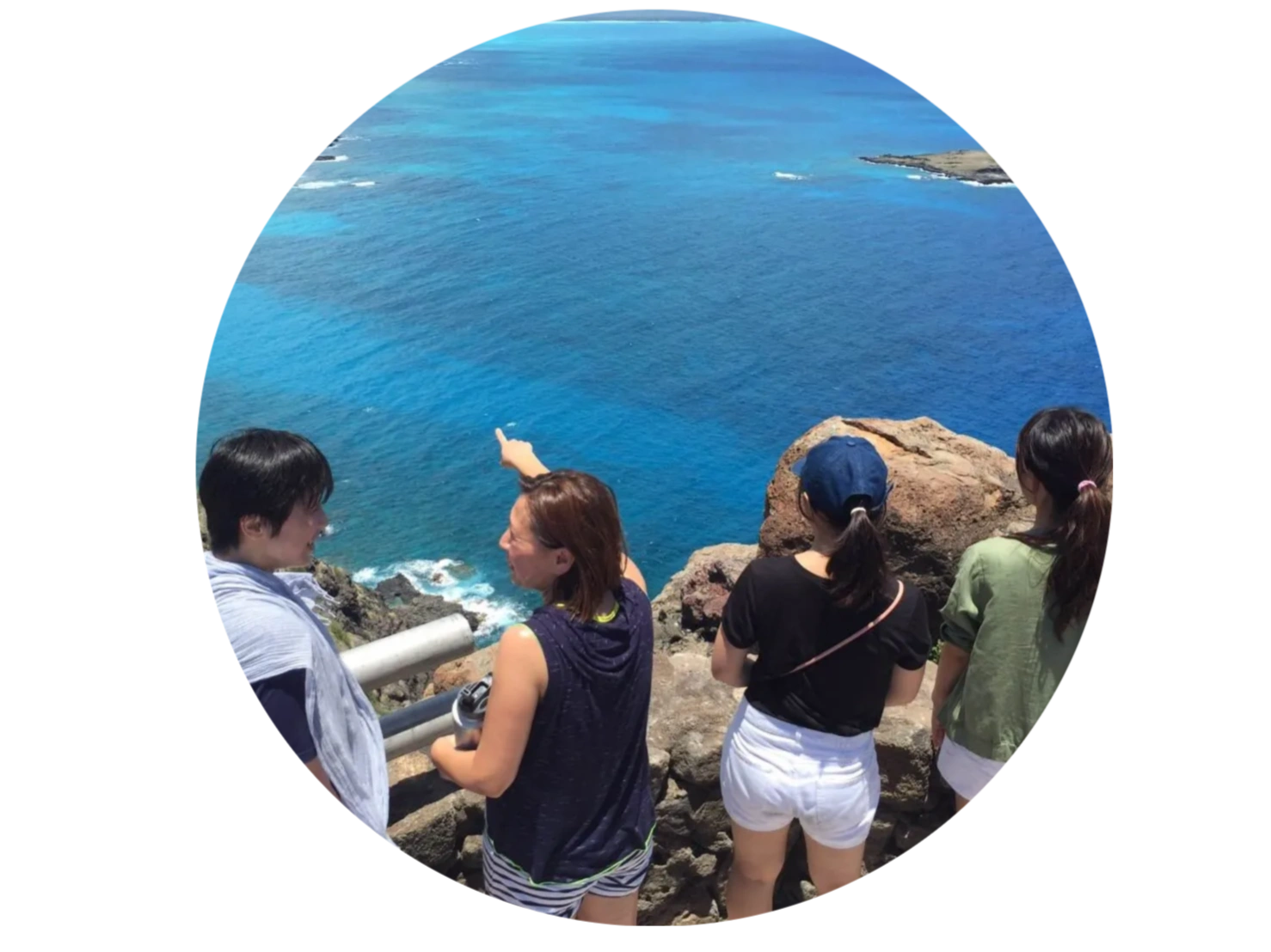Study Stay Hawaii Student Lodging Including Homestay Condos Low study-stay-hawaii-student-lodging-including-homestay-condos-low