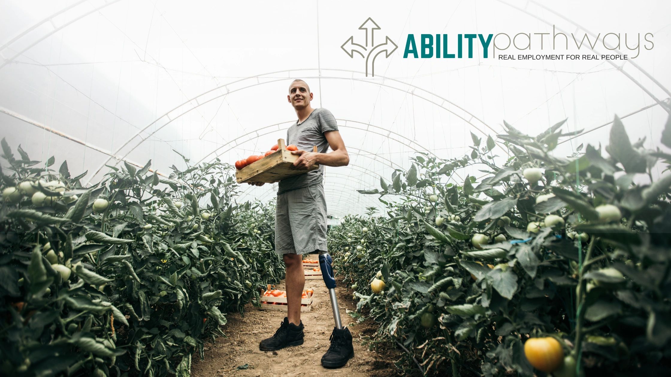 Ability Pathways: How We Build Futures Through Employment