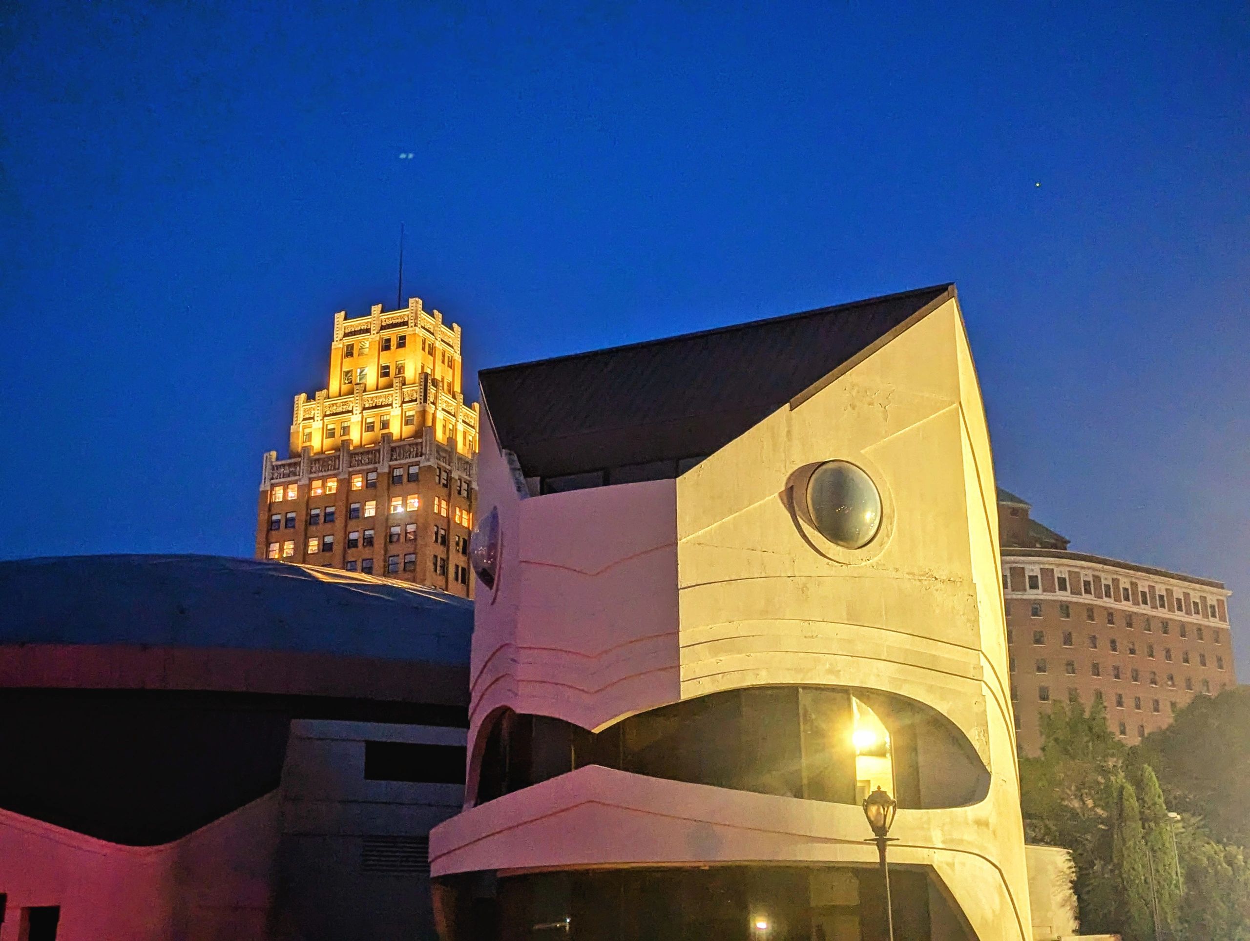 Reawaken the Niagara Turtle!