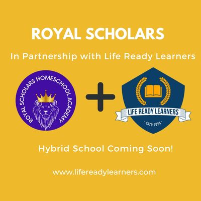 3rd Option Accountability