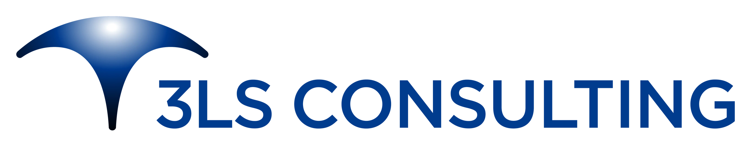3LS Consulting