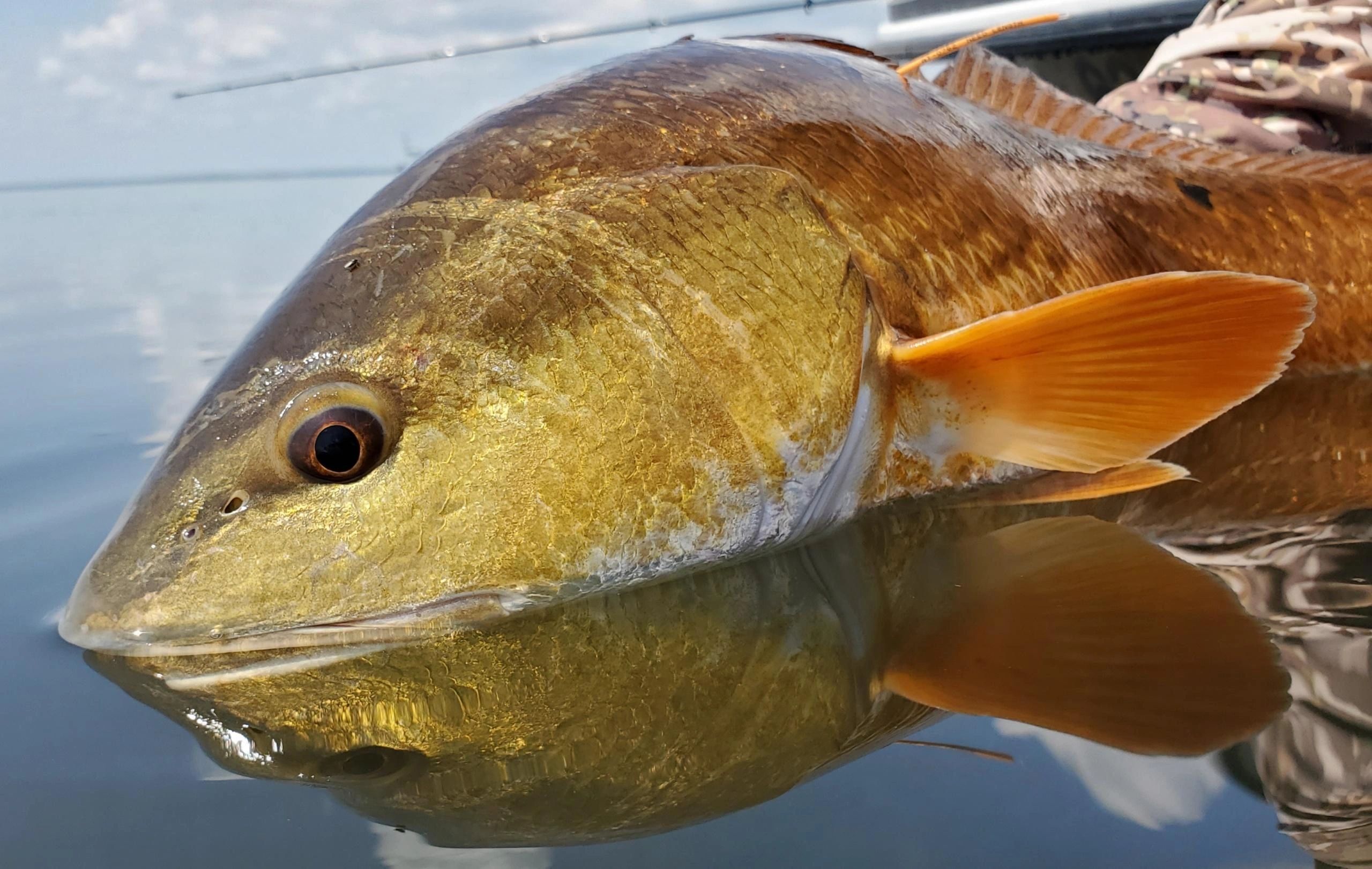 HOME [flywaycharters.com]