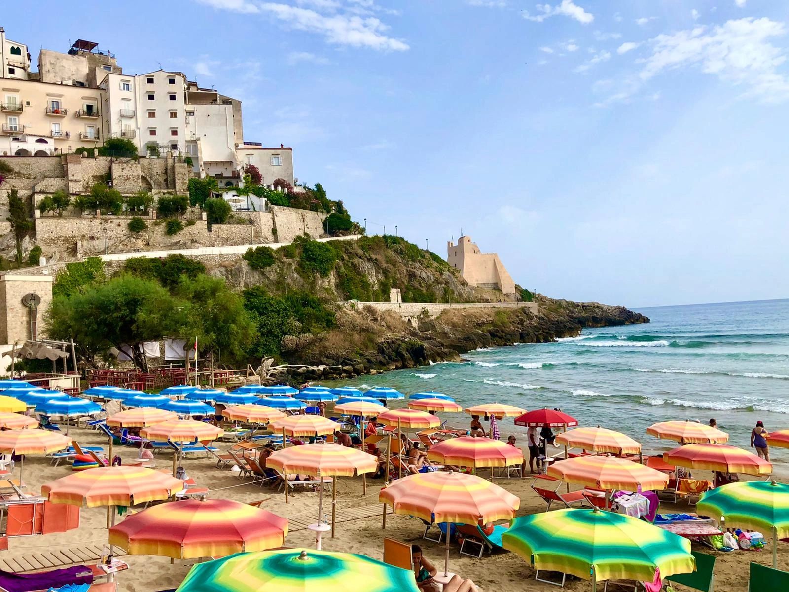 Travel News Network®