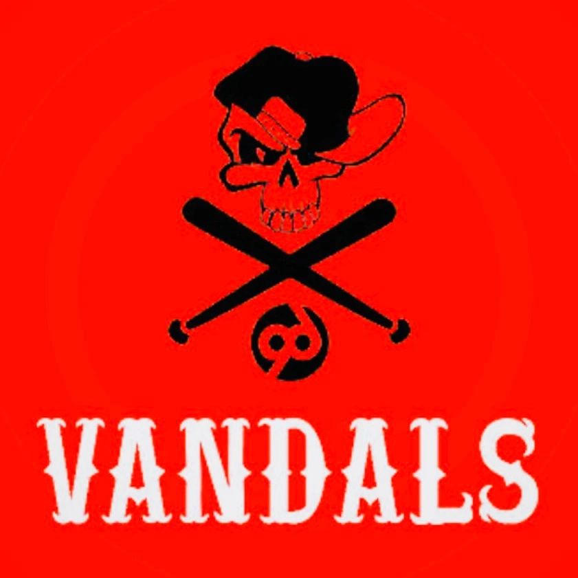2025 Preview: Chicago Vandals