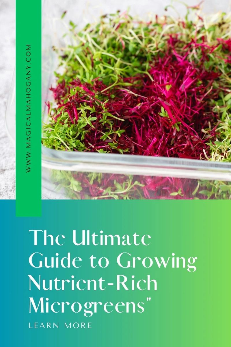 The Ultimate Guide to Growung Nutrient-Rich Microgreens