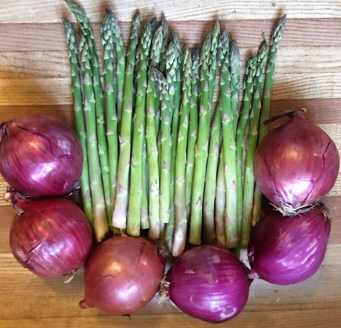 Nutrition and Fitness with Hope