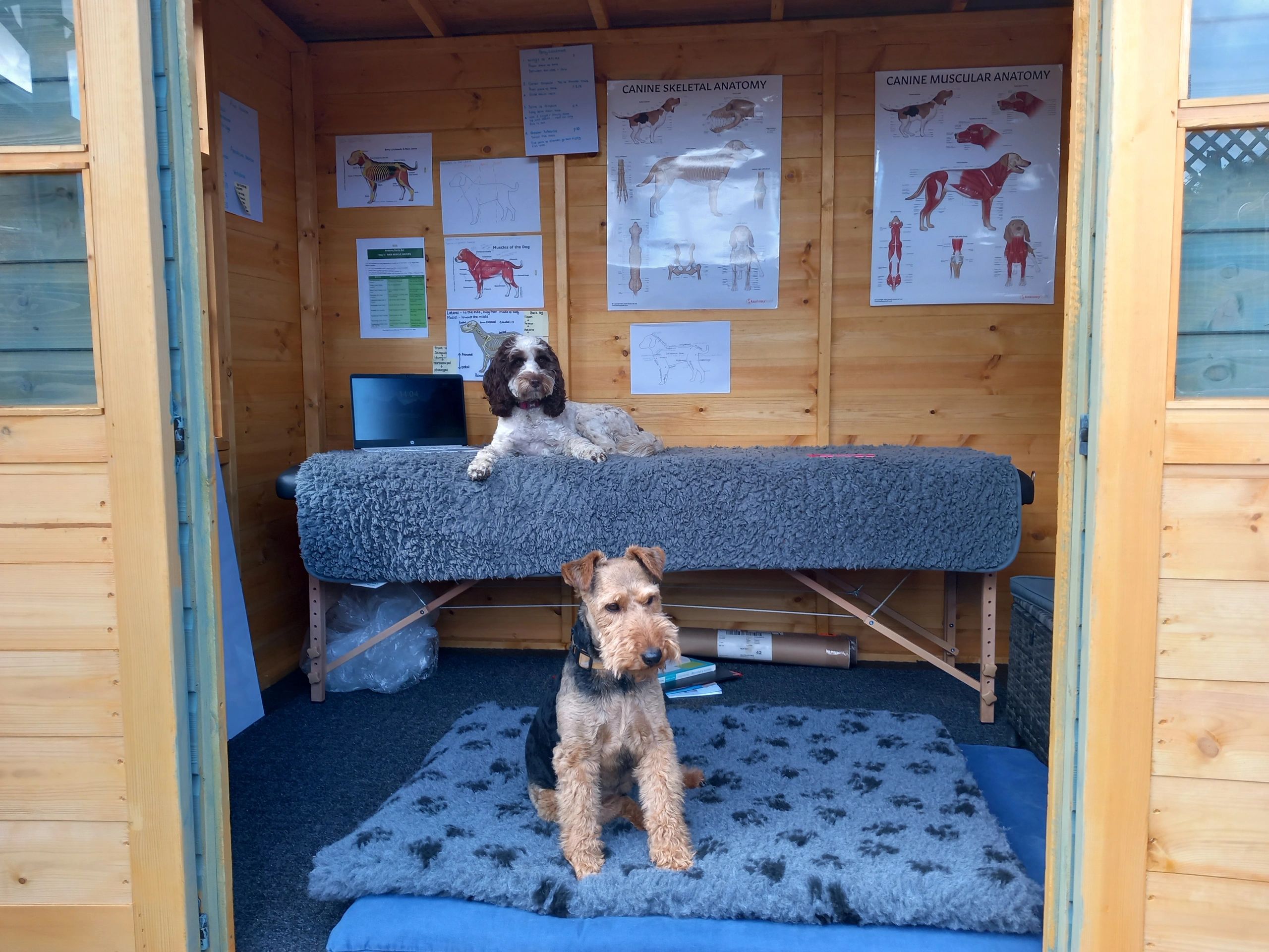 Paws and Release Clinical Canine Massage