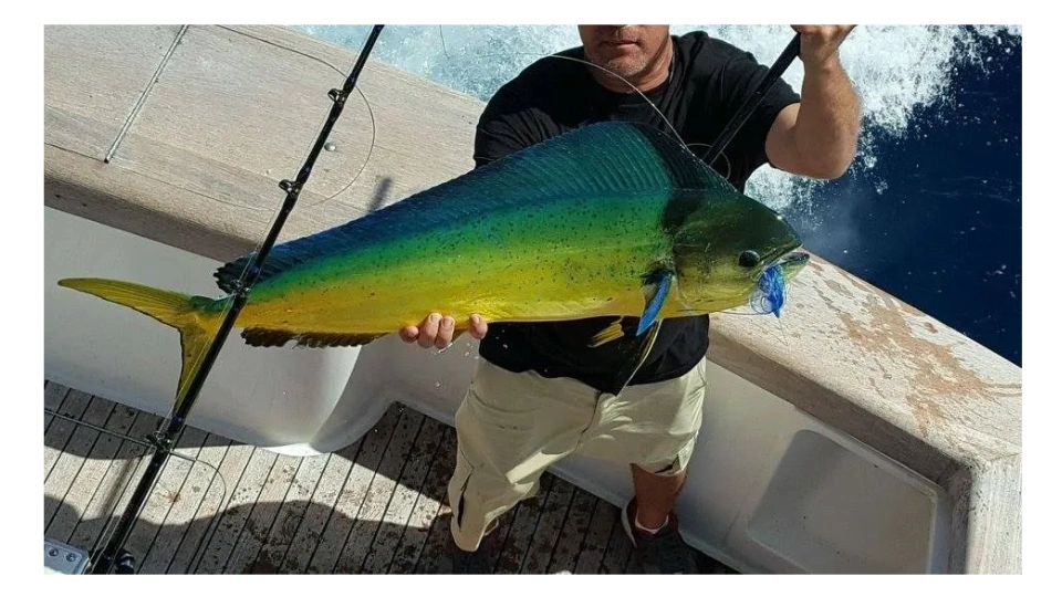 Walk Ons | Knot Tell'n Charters