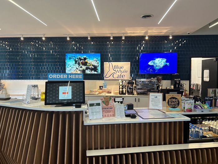 Home [bluewhalecafe.net]