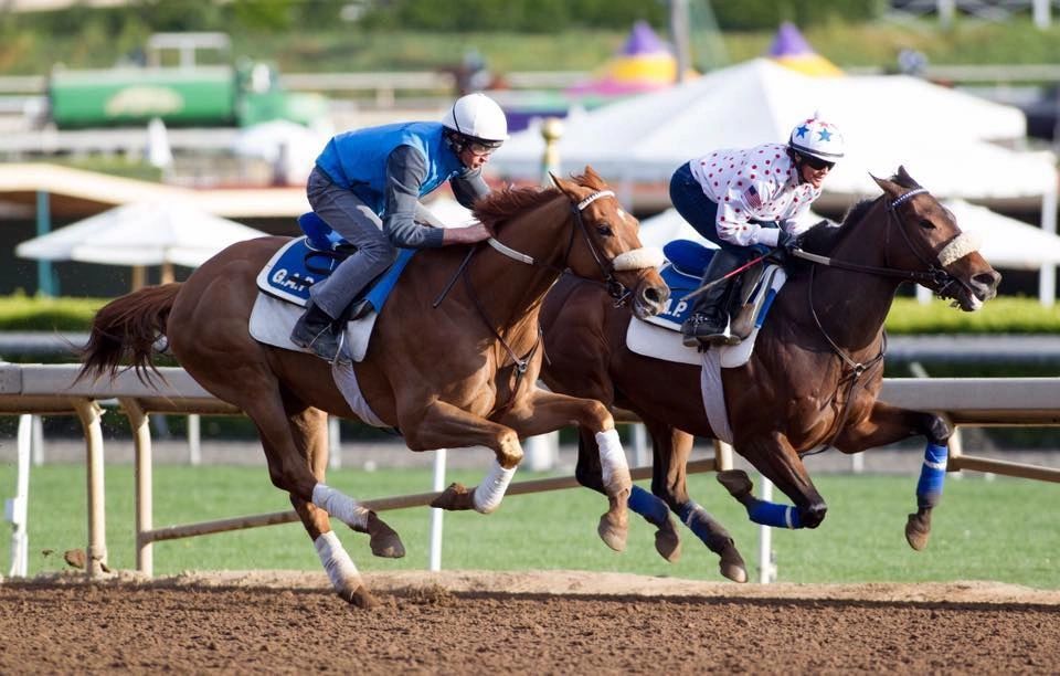 Racehorse Ownership - Pilkington Racing