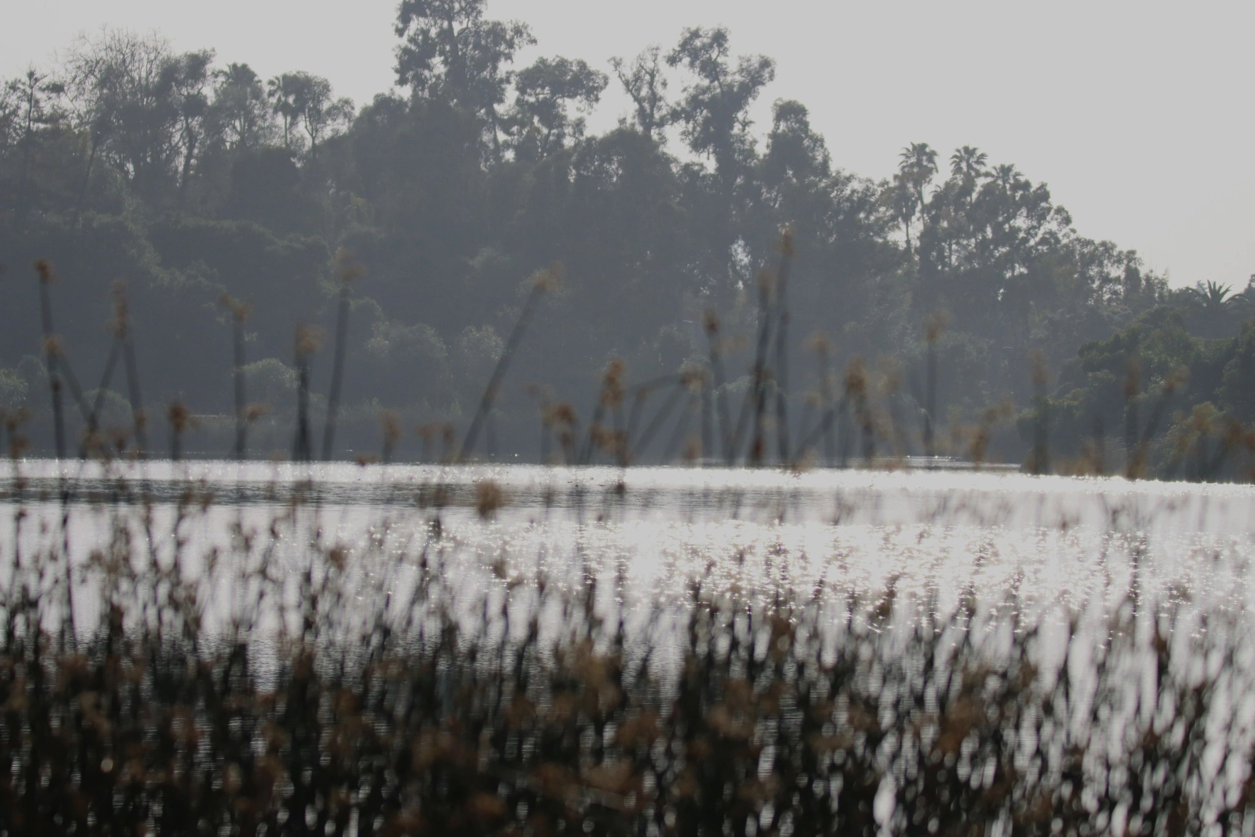 Richard Rockenbach - Info