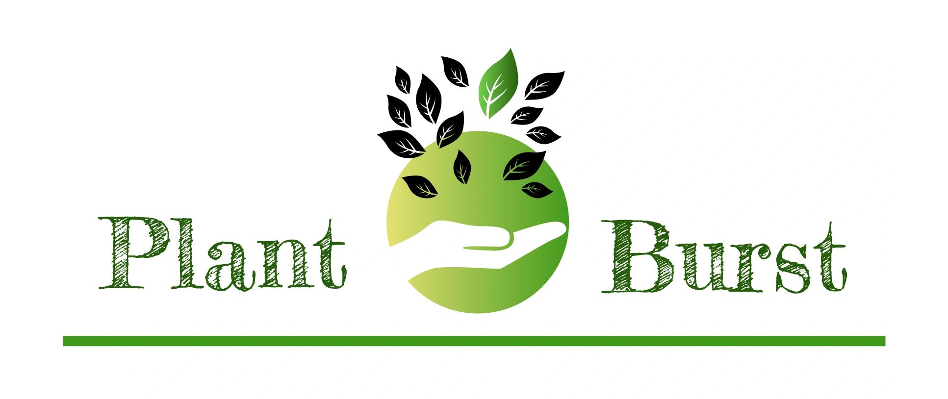 Plant Burst - Plant Store, Plant Nursery, Succulant Arrangements