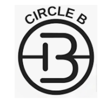circlebbuildings