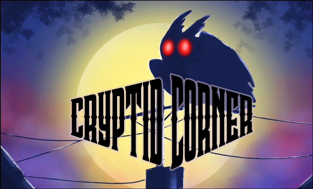 Cryptid Corner Store