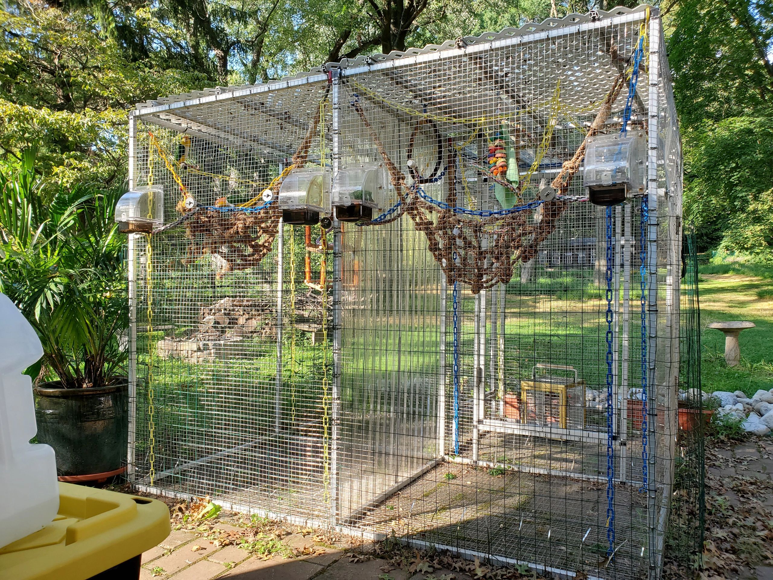 Our Outdoor Aviary Build