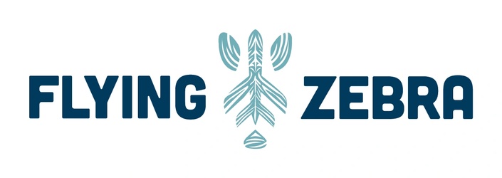 Flying Zebra Charter services, Pilot services, Aircraft management ...