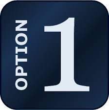 Option 1