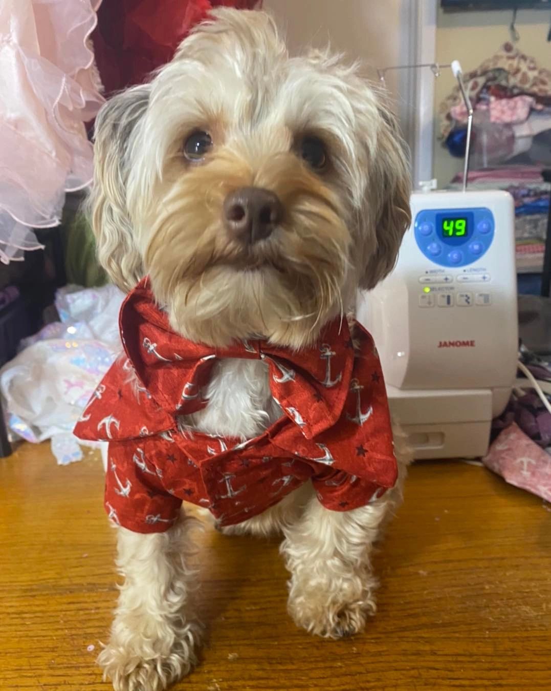 The Posh Pet Boutique - Dog Clothes, Dog Boutique