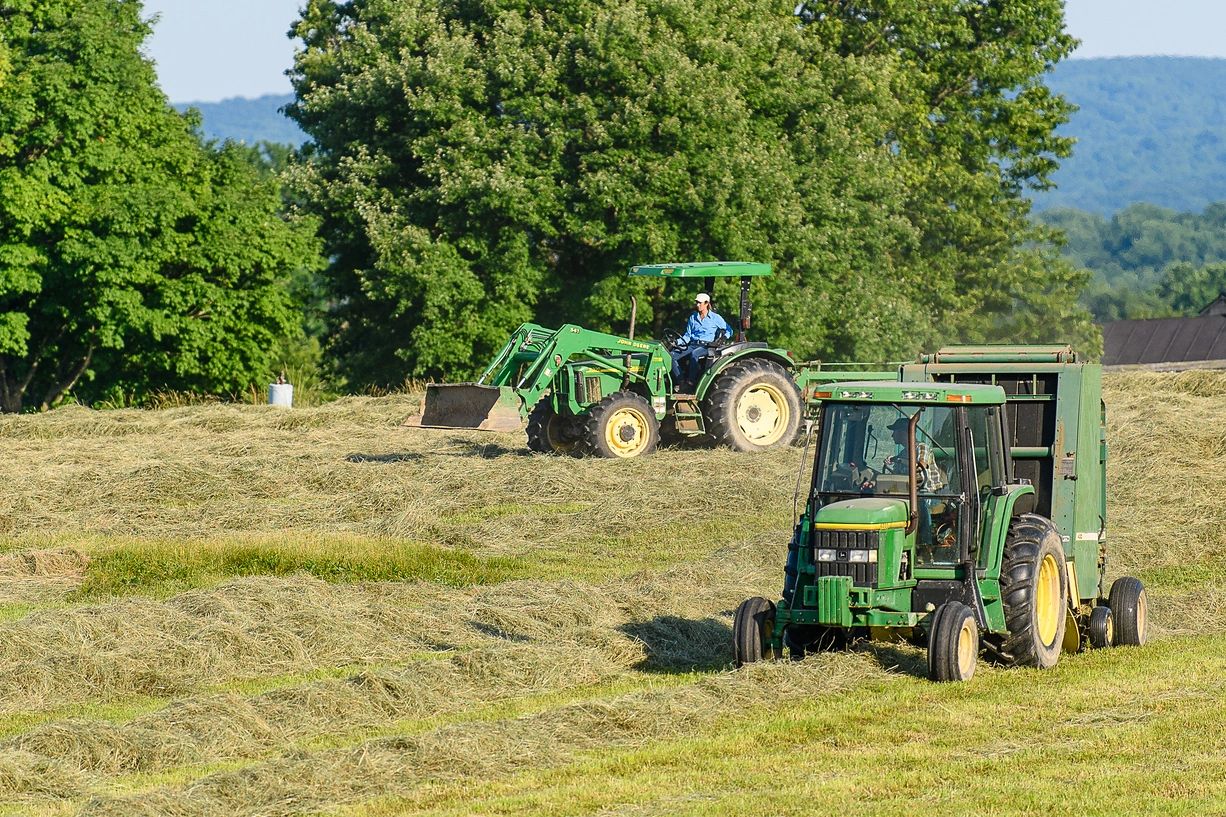 White Hall Farm & Estate